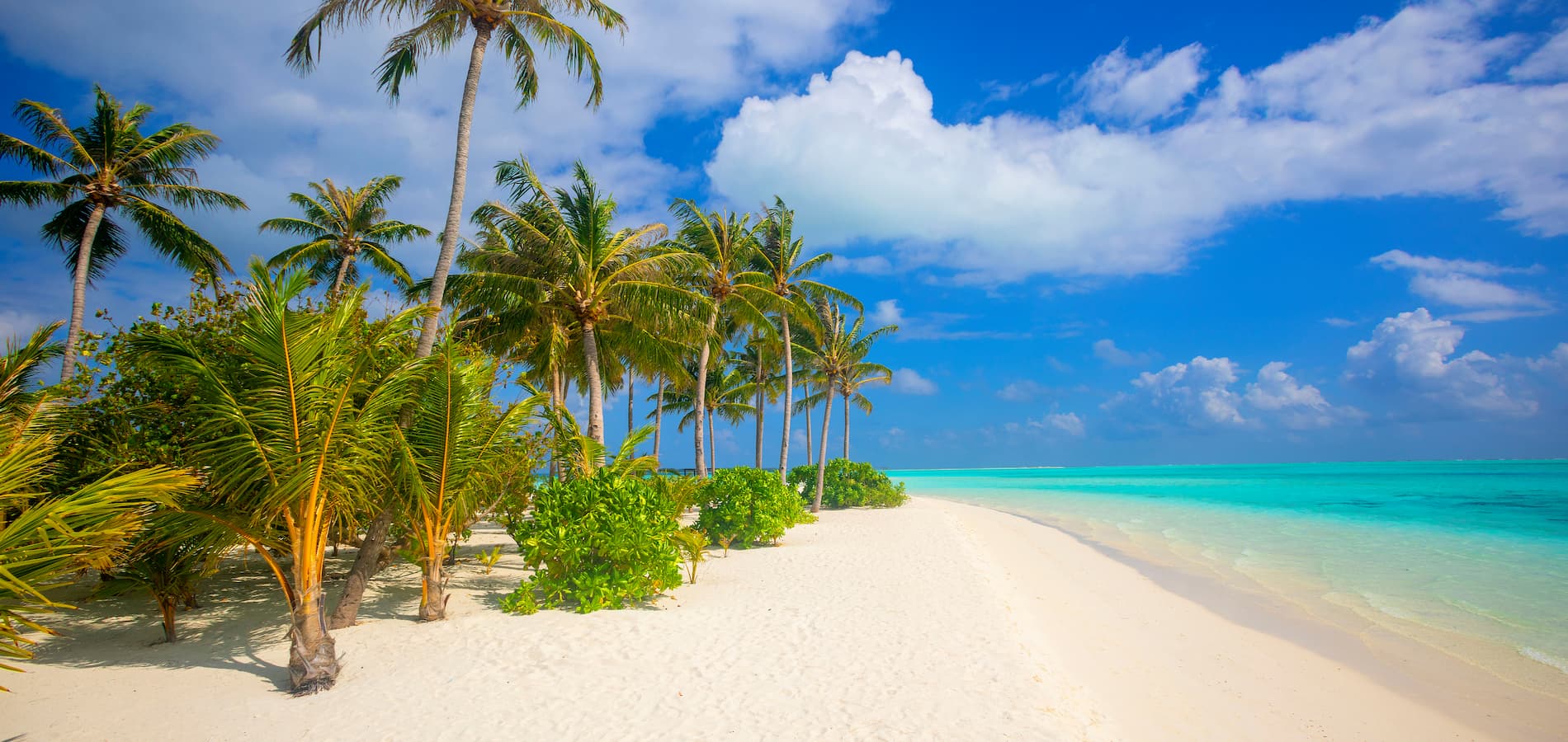 Destination Jamaica | Princess Hotels