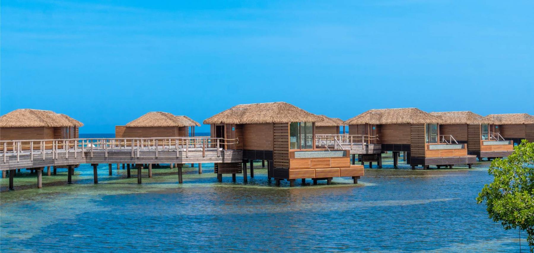 Jamaica Overwater Villas | Princess Senses The Mangrove