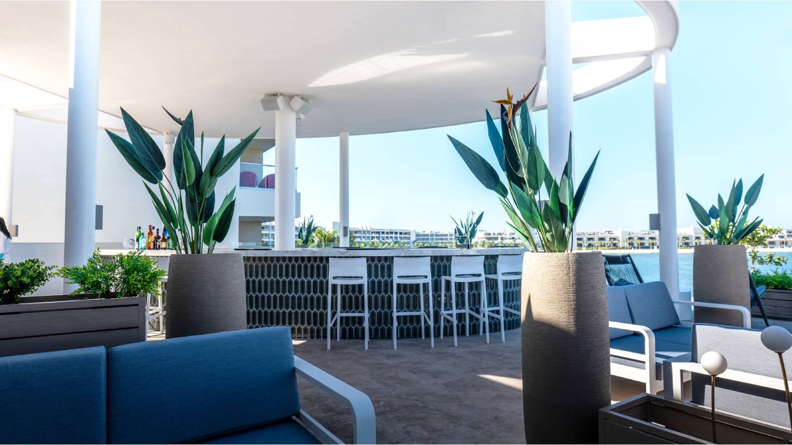 Platinum | Princess Senses The Mangrove
